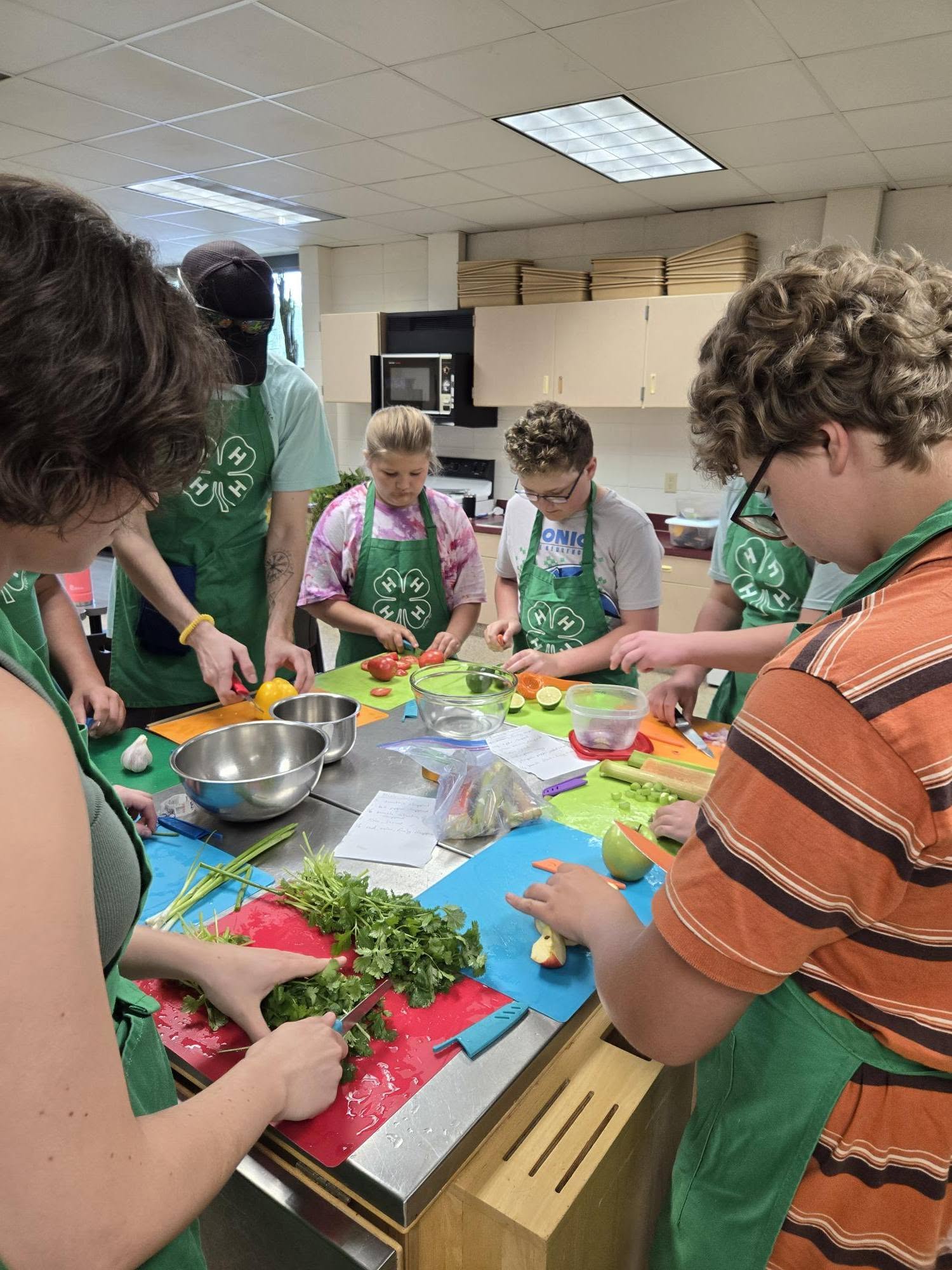 2025 CHOPPED! 4-H Day Camp Registration is OPEN! – Extension Iron County